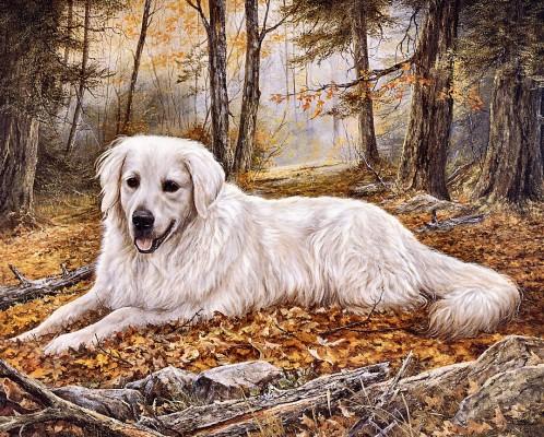 Paintings by Shirley Deaville | Art and Design