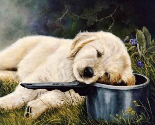 Paintings by Shirley Deaville | Art and Design