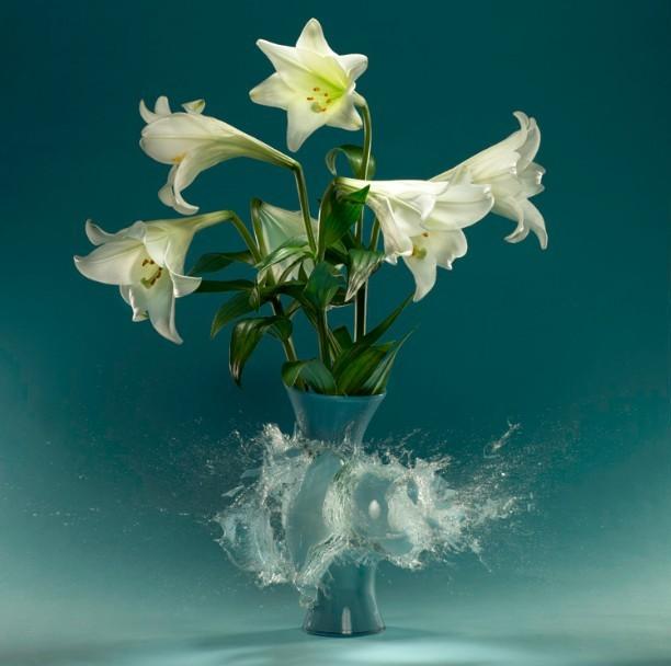 Blomst | Art and Design