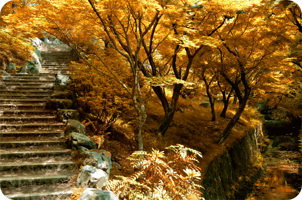 Photograph by david-plus-1 | Art and Design