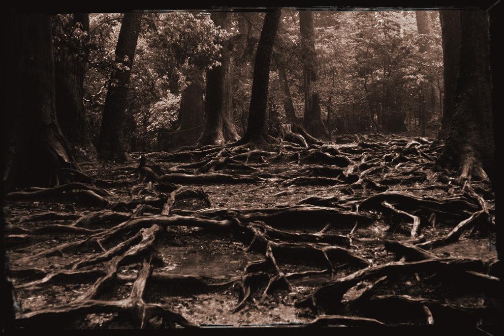 Photograph by david-plus-1 | Art and Design