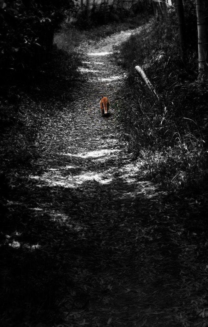 Photograph by david-plus-1 | Art and Design