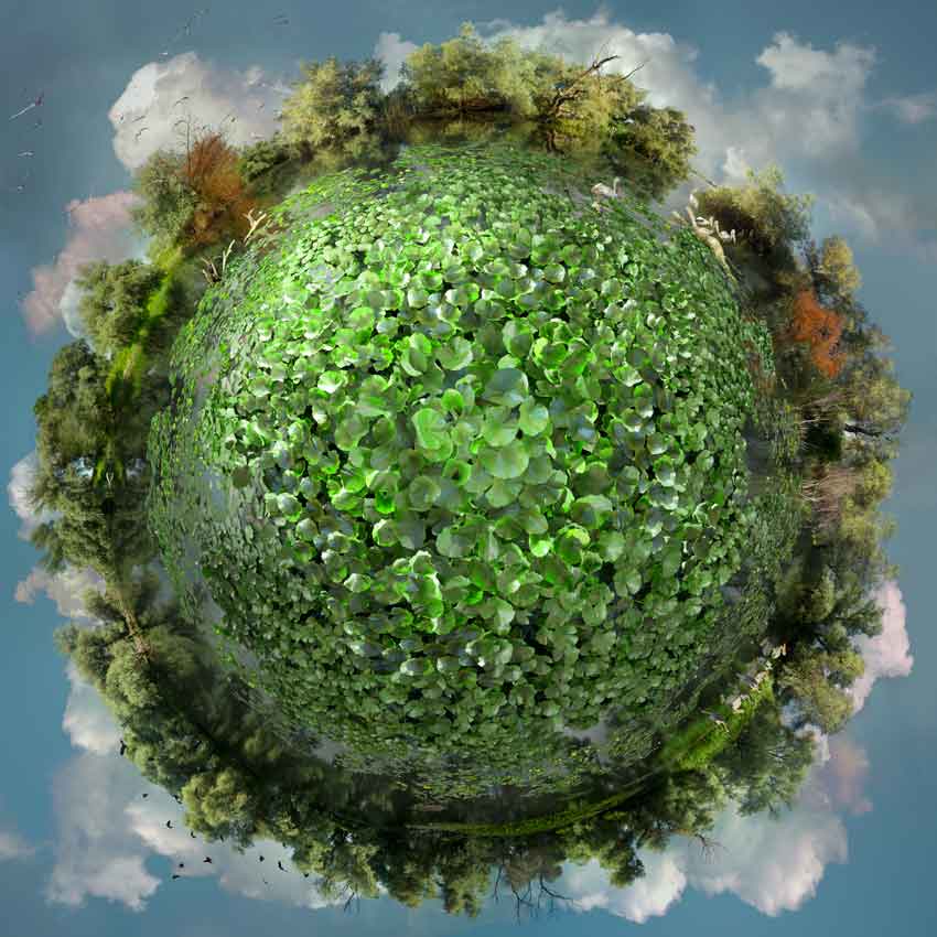 Floating Landscapes by Catherine Nelson | Art and Design