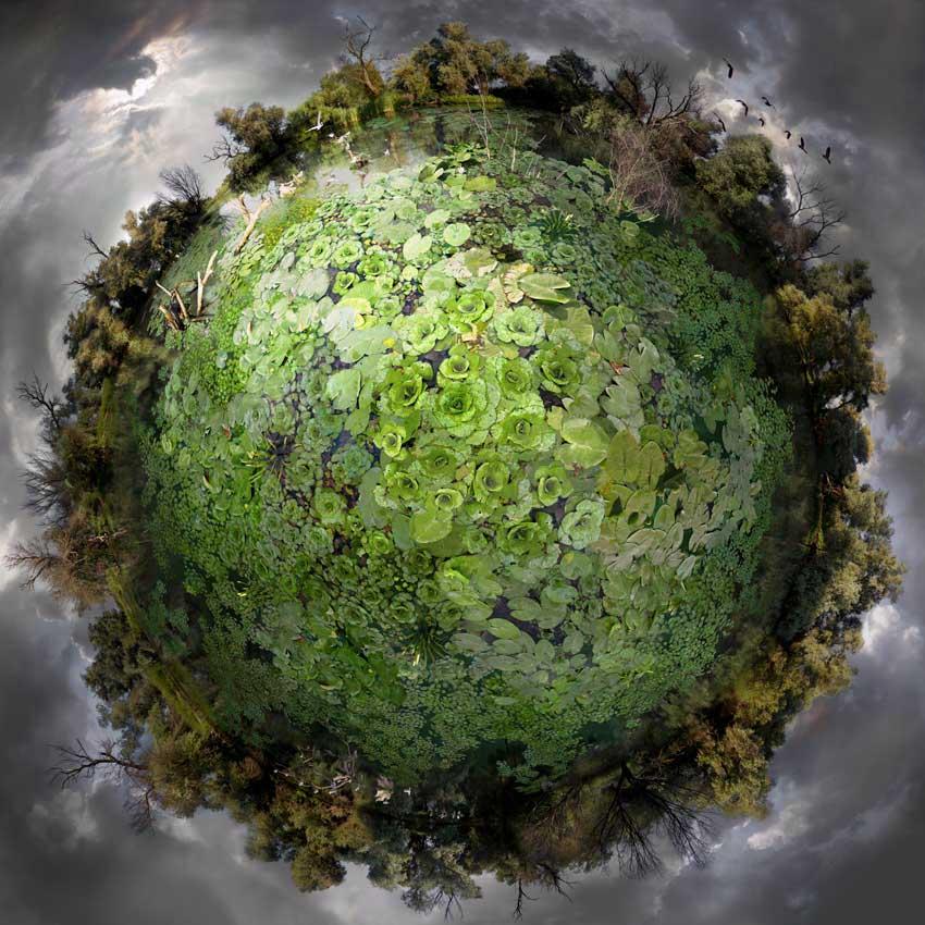 Floating Landscapes by Catherine Nelson | Art and Design