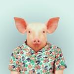 Animals Portraits by Yago Partal | Art and Design