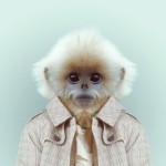 Animals Portraits by Yago Partal | Art and Design