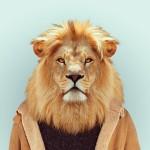 Animals Portraits by Yago Partal | Art and Design