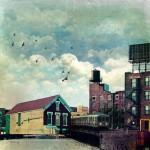 Photography by Tim Jarosz | Art and Design