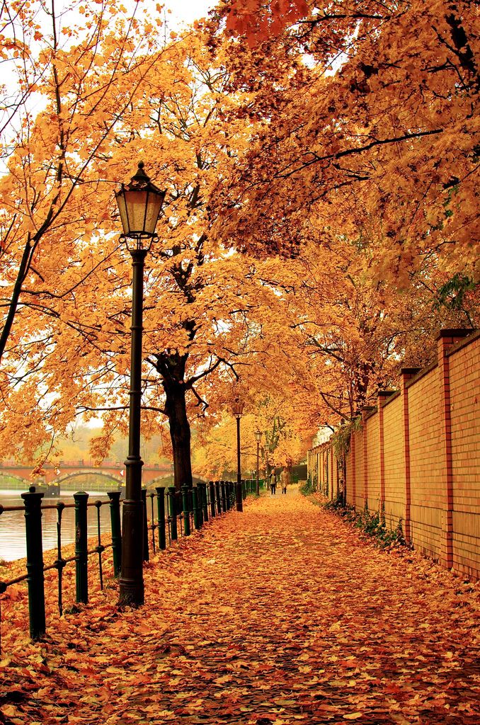 20 Beautiful Fall Pictures | Art and Design