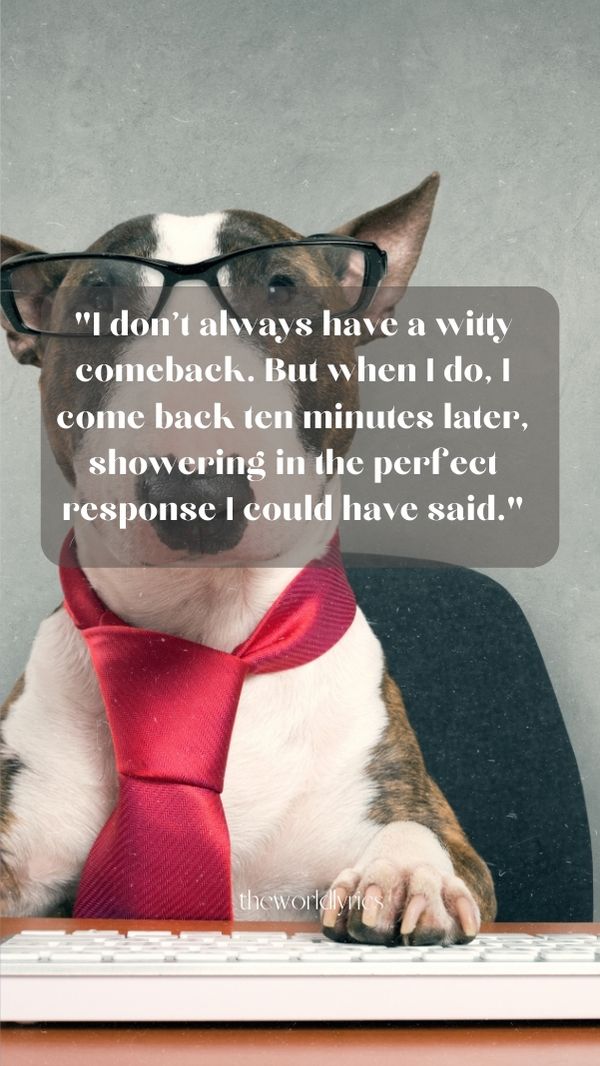 90 Amusing Funny Quotes to Make You Laugh | Art and Design