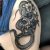 60 Daring Death Eater Tattoo Designs | Art and Design
