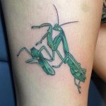 50 praying mantis tattoos: Meaning and Designs