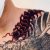 60 Centipede Tattoo Designs With Meaning | Art and Design